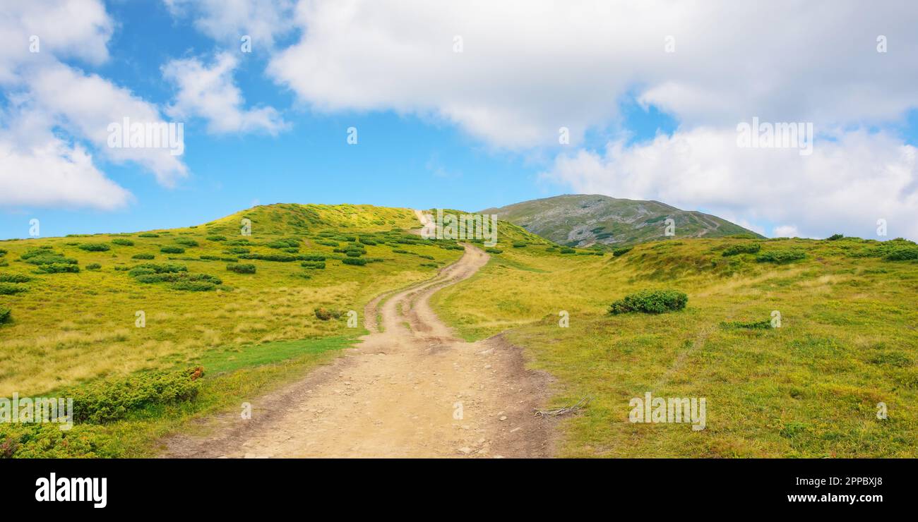 hiking trail through carpathian mountains. summer nature scenery with ...