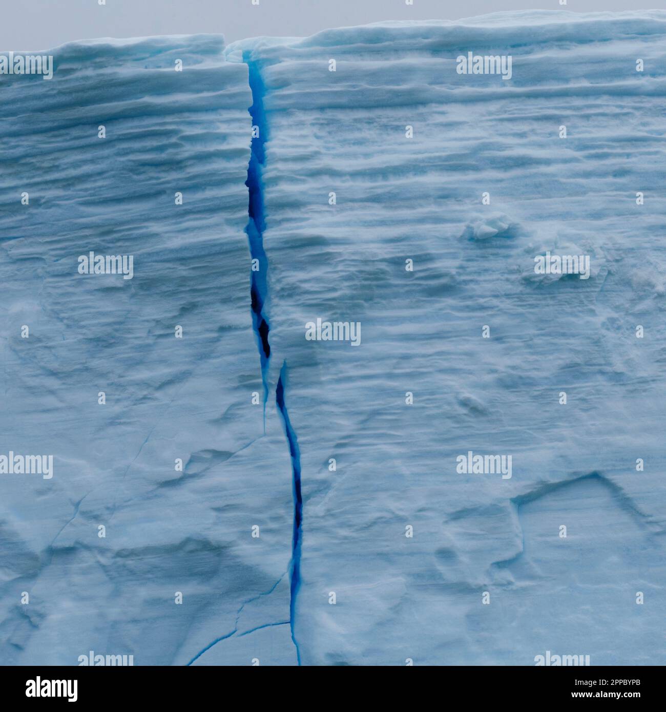 An isolated iceberg with cracks and melting features, located in an ...