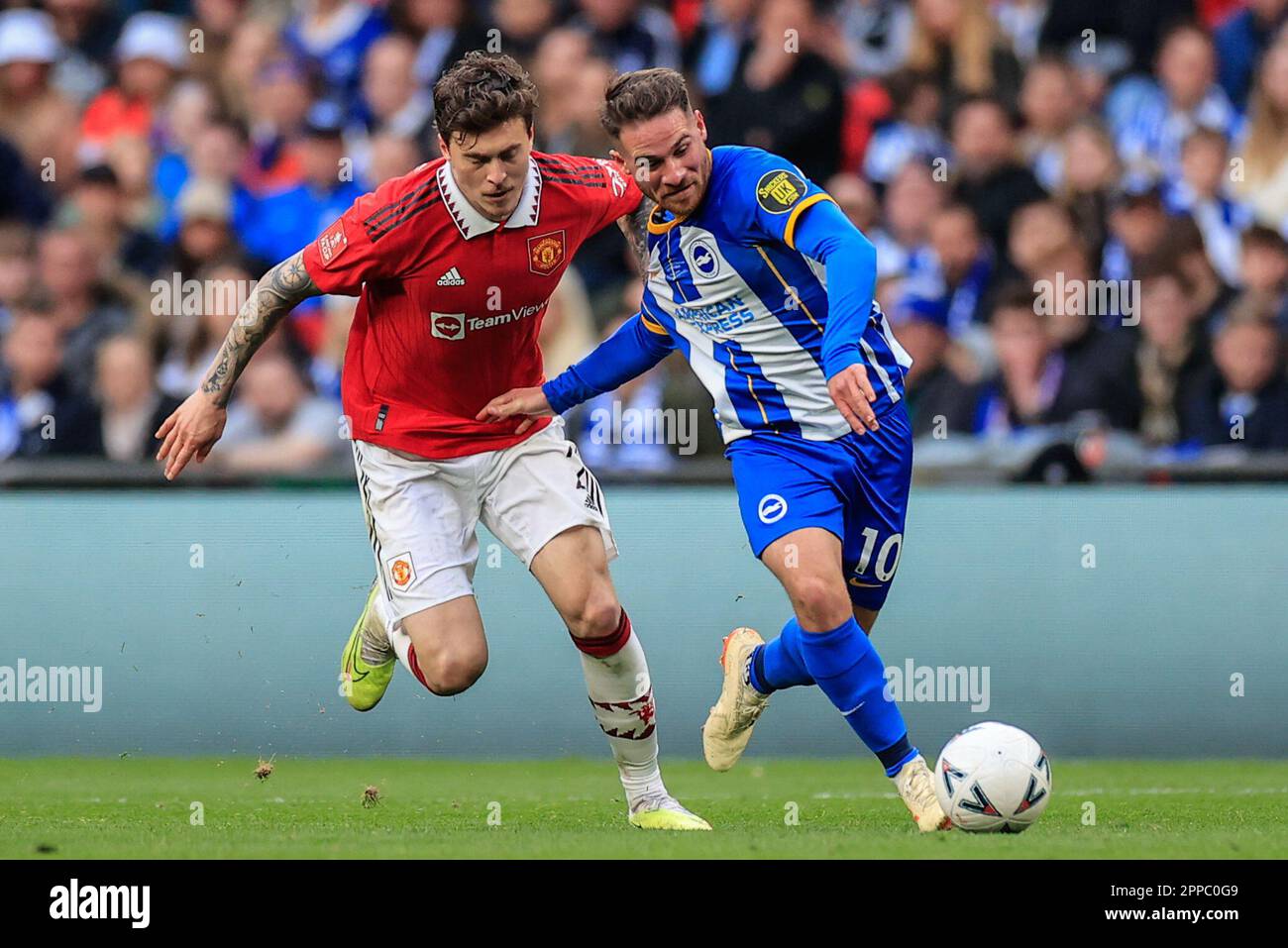 Alexis Mac Allister #10 of Brighton & Hove Albion Victor Lindelof #2 of ...