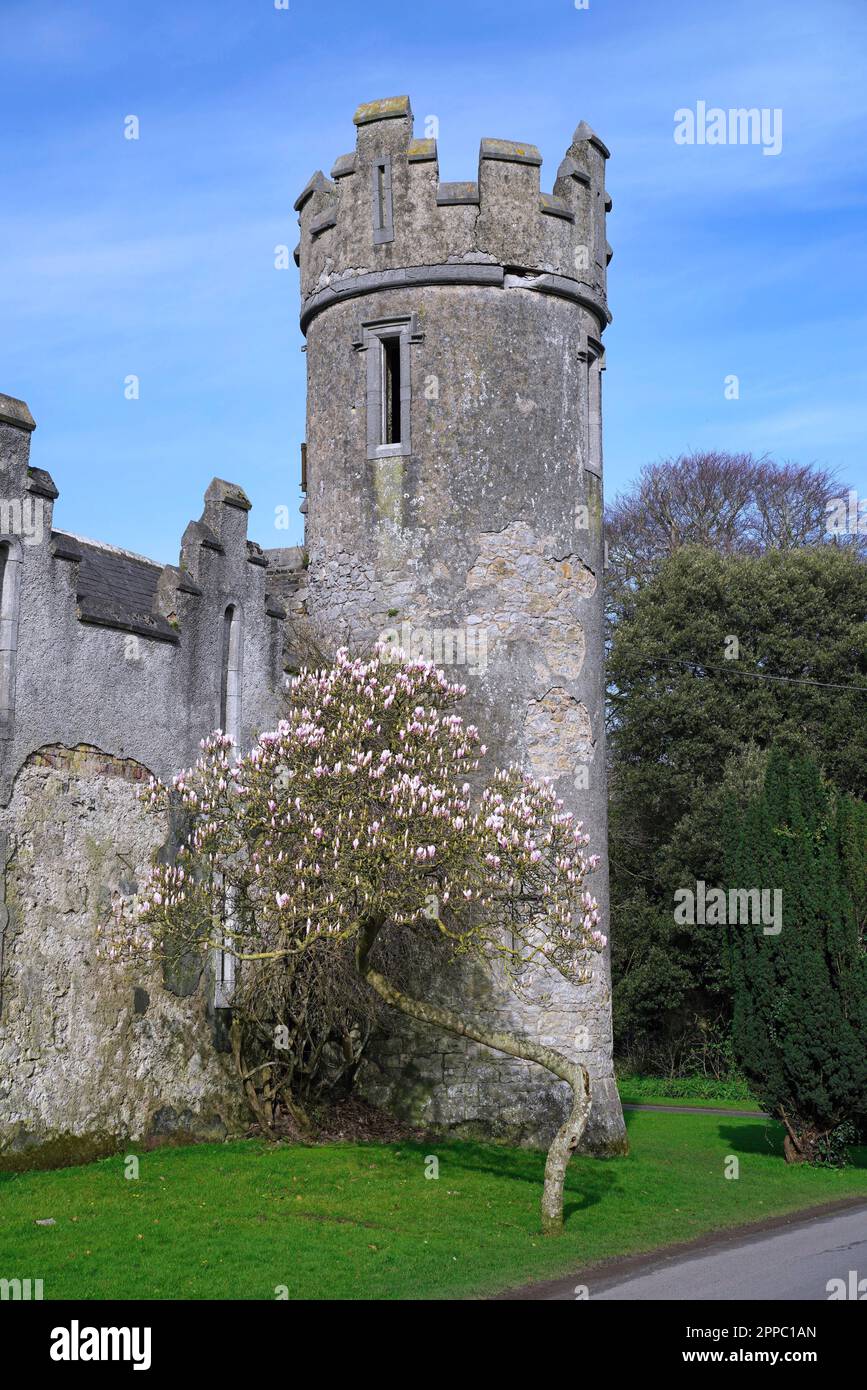 Howth Castle near Dublin, which was owned by the same family for more ...