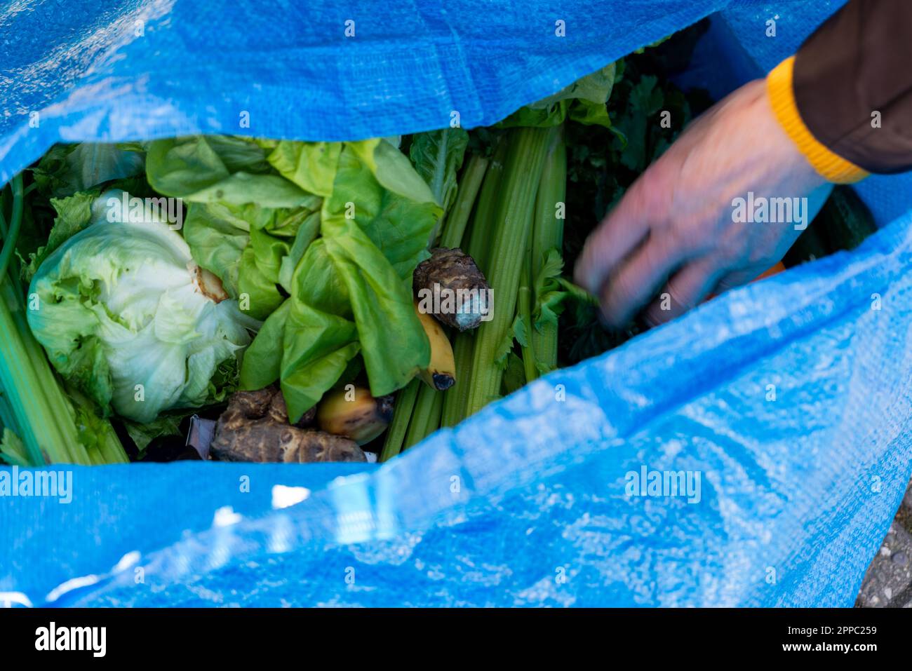 Foodsharing hi-res stock photography and images - Alamy