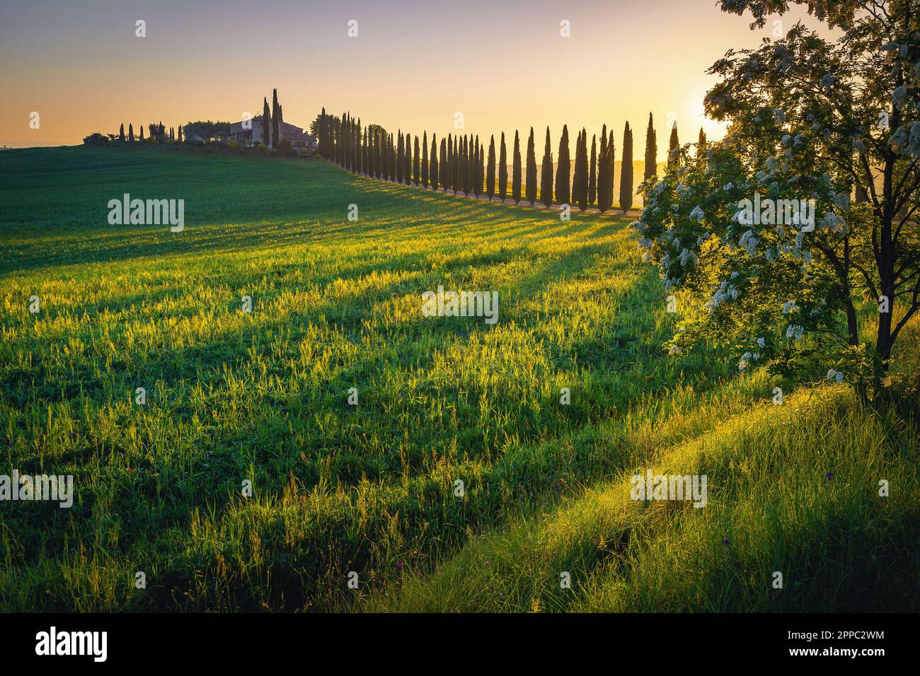 House on the hill and rural road decorated with cypresses trees in row ...