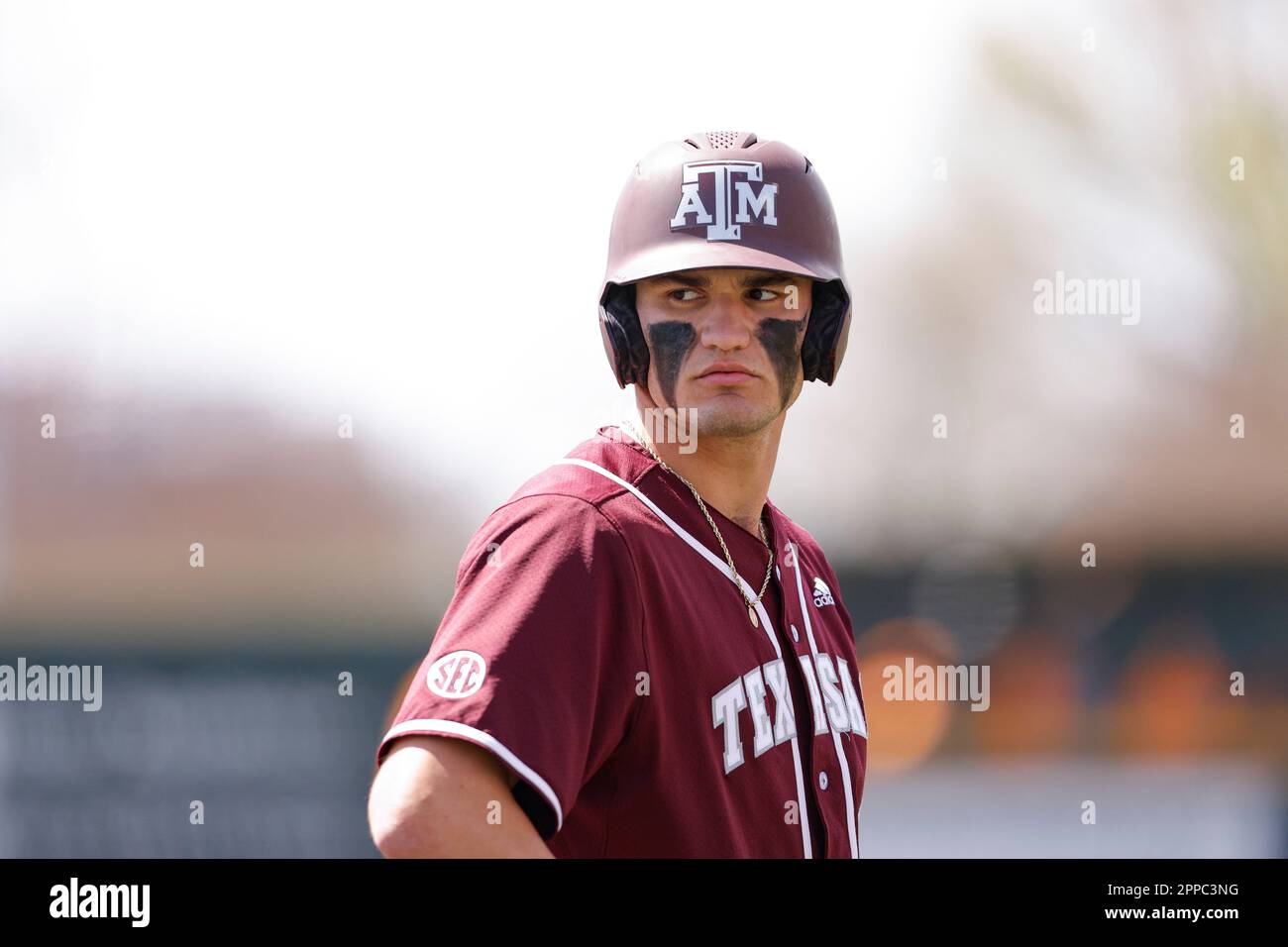 Texas A&M Aggies left fielder Jace LaViolette (17) in action against ...
