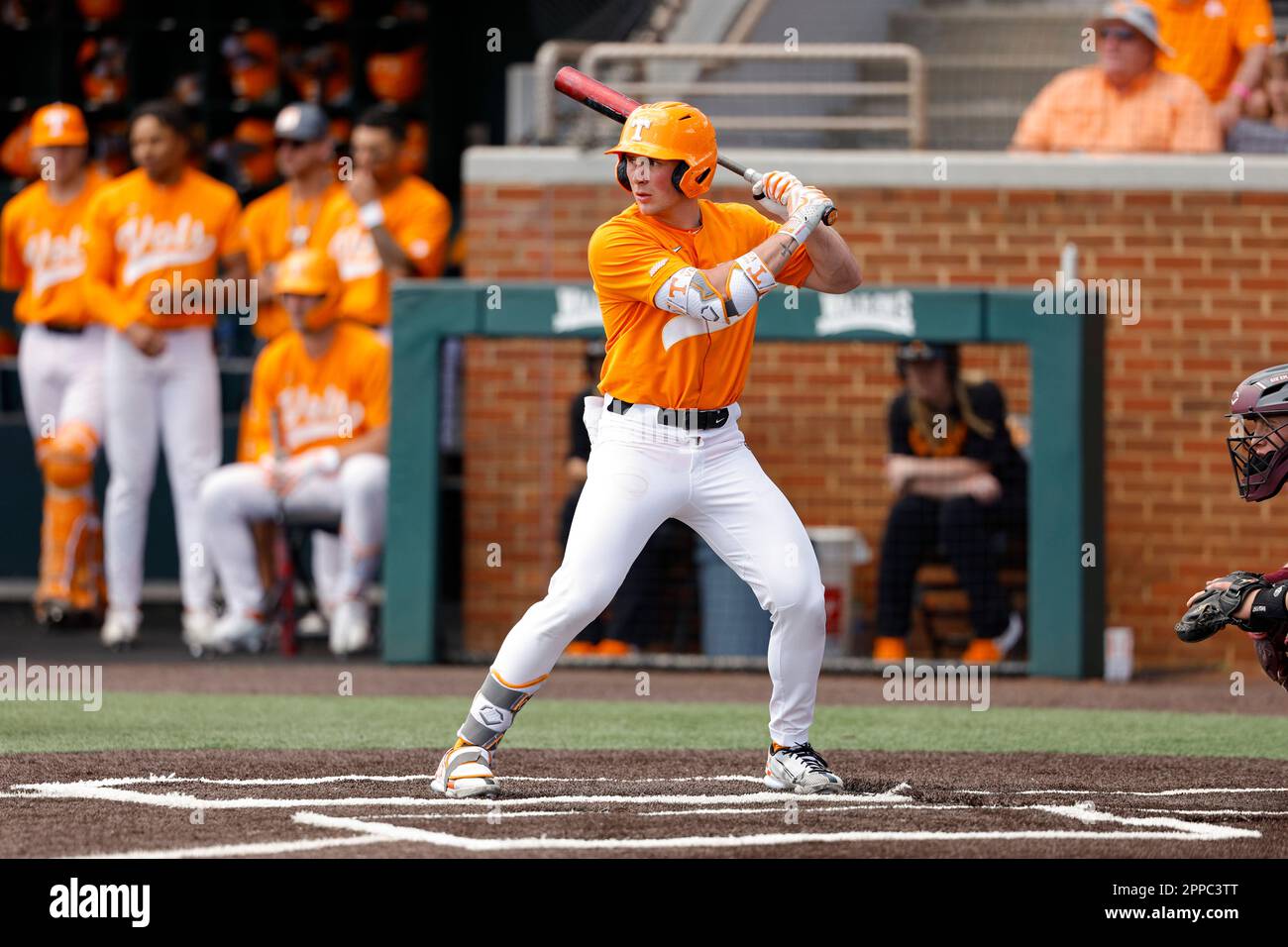 Tennessee Volunteers pinch hitter Dylan Dreiling (46) at bat against ...