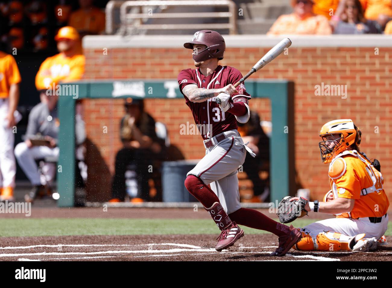 Texas A&M Aggies right fielder Jordan Thompson (31) at bat against the ...
