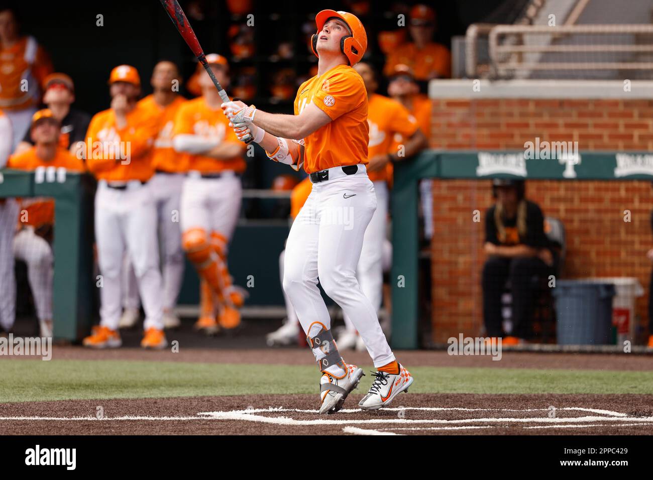 Tennessee Volunteers pinch hitter Dylan Dreiling (46) at bat against ...