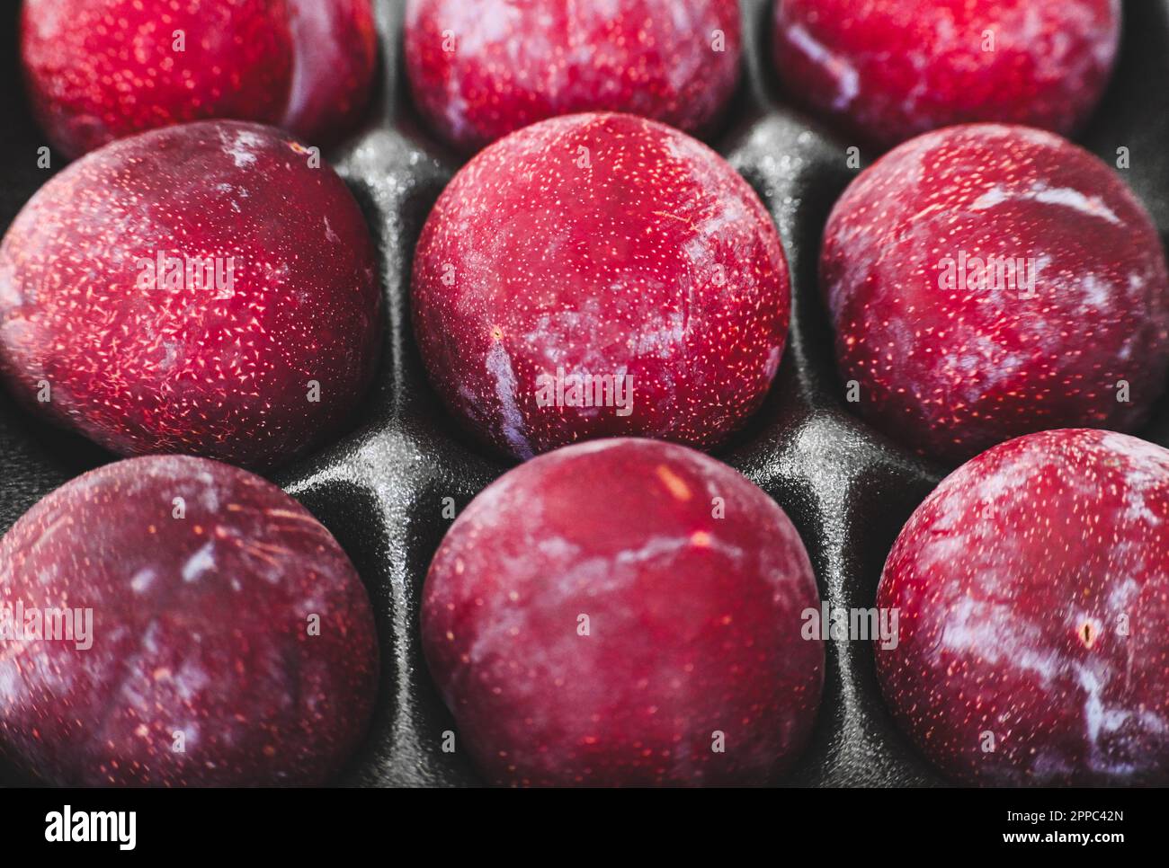 Purple plums close-up packed in a punnet Stock Photo - Alamy