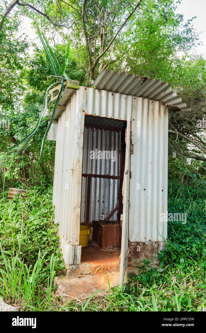 A Zinc House Pit Latrine In The Woods With Hylocereus Cactus On The ...