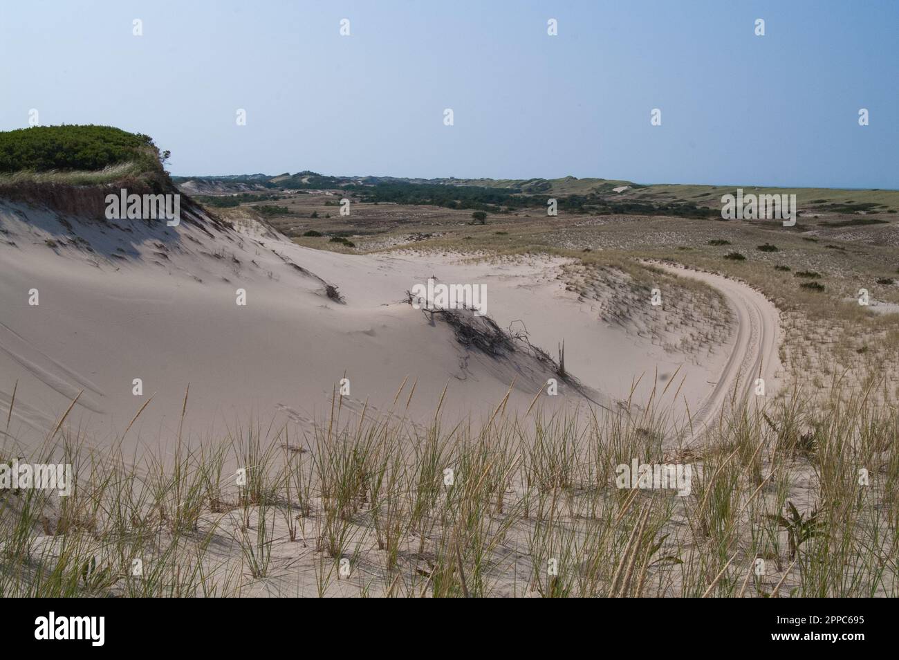 Erosion control on beach sand dunes Stock Photo - Alamy