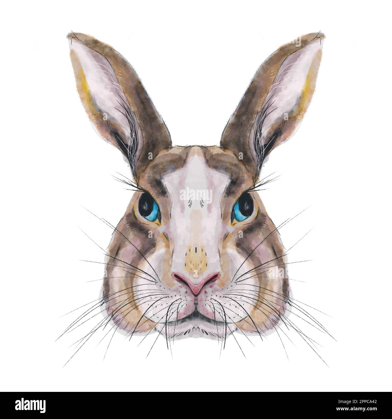 Rabbit Head Painting