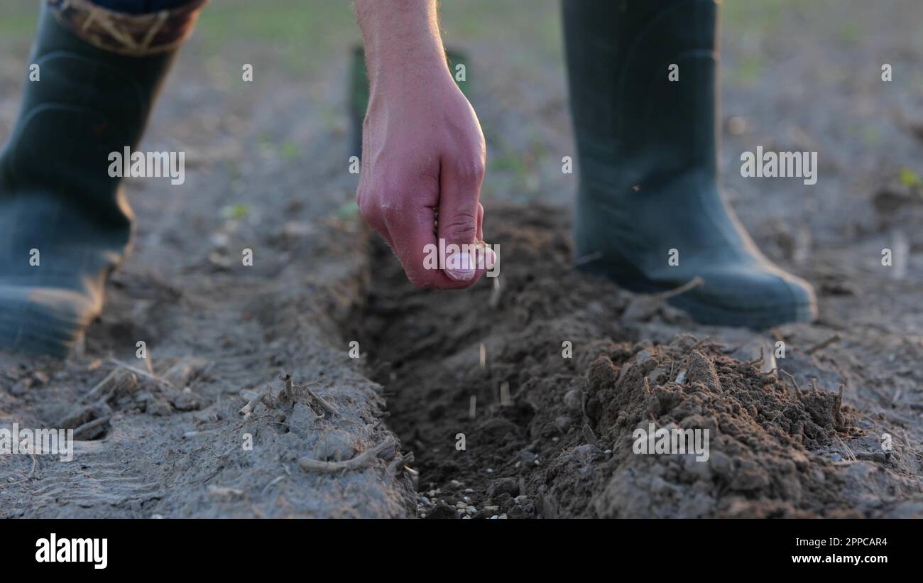 Man planting garden 4k hi-res stock photography and images - Alamy