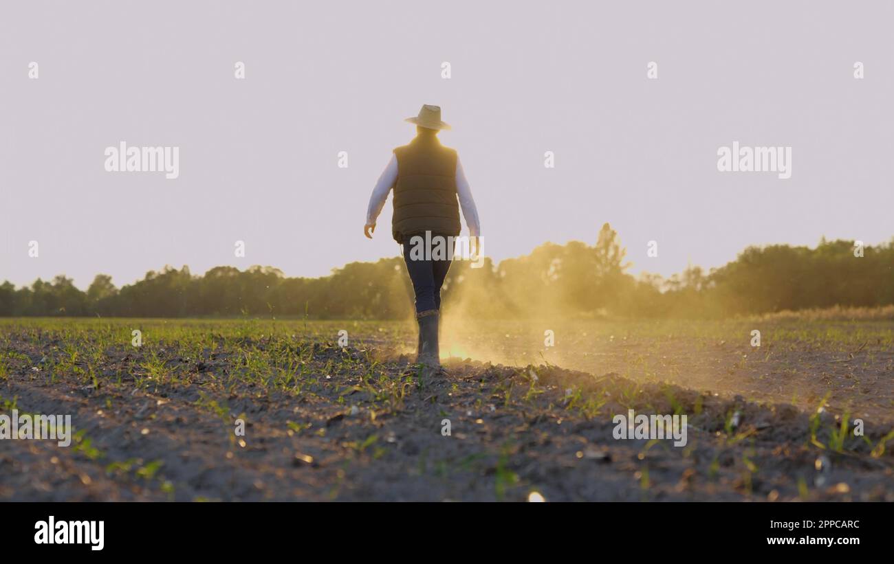 Back view of male farmer in rubber boots walking on field through small ...