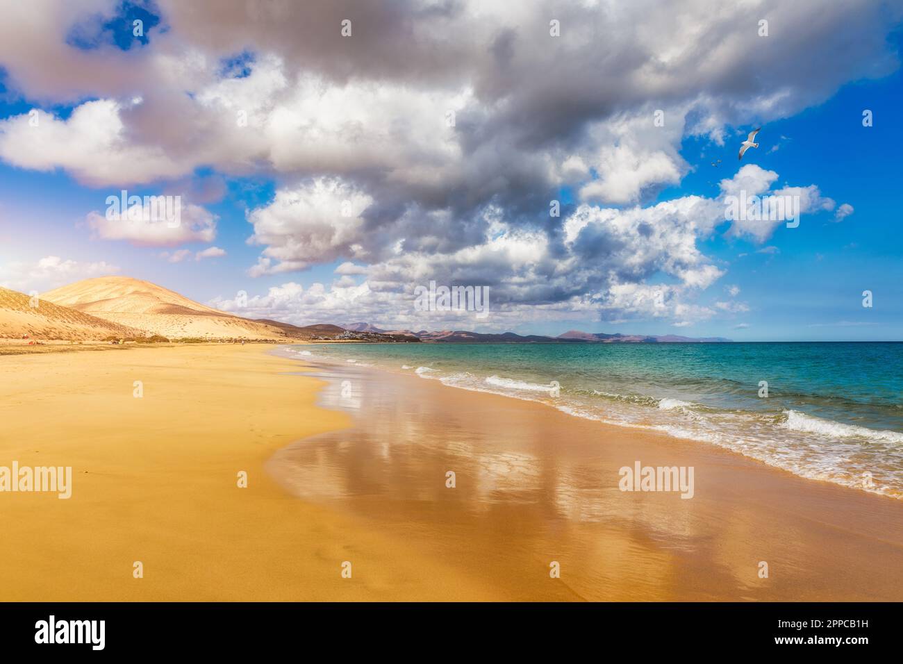 View on the beach Sotavento with golden sand and crystal sea water of ...