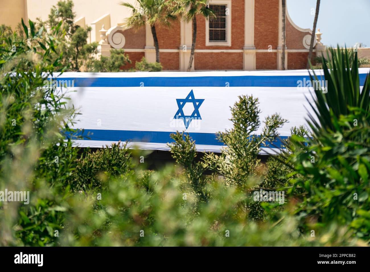 View of the Israeli flag through the leaves of plants in the old city ...