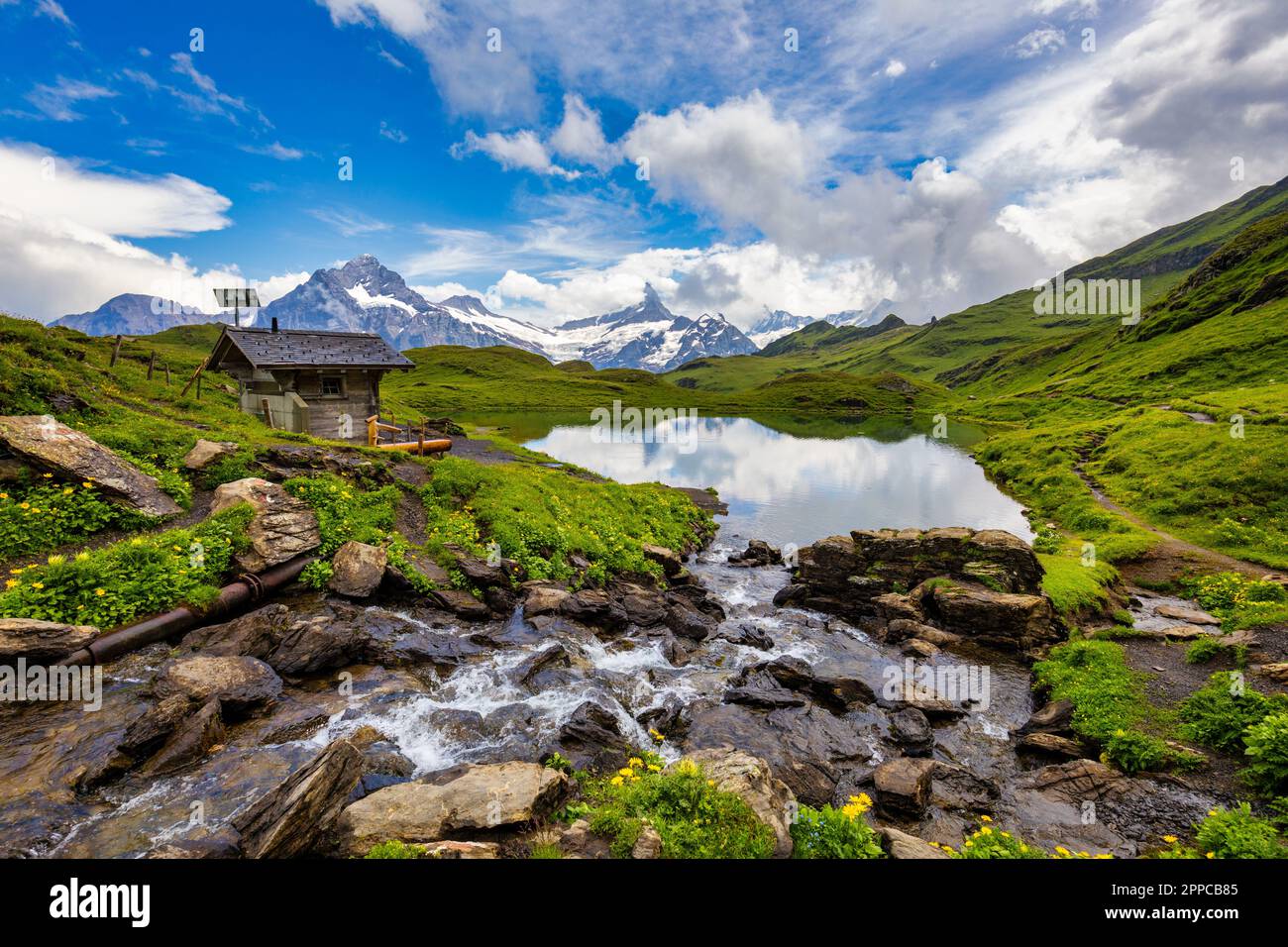 Bachalpsee lake at dawn, Bernese Oberland, Switzerland. Alpine view of the Mt. Schreckhorn and ...
