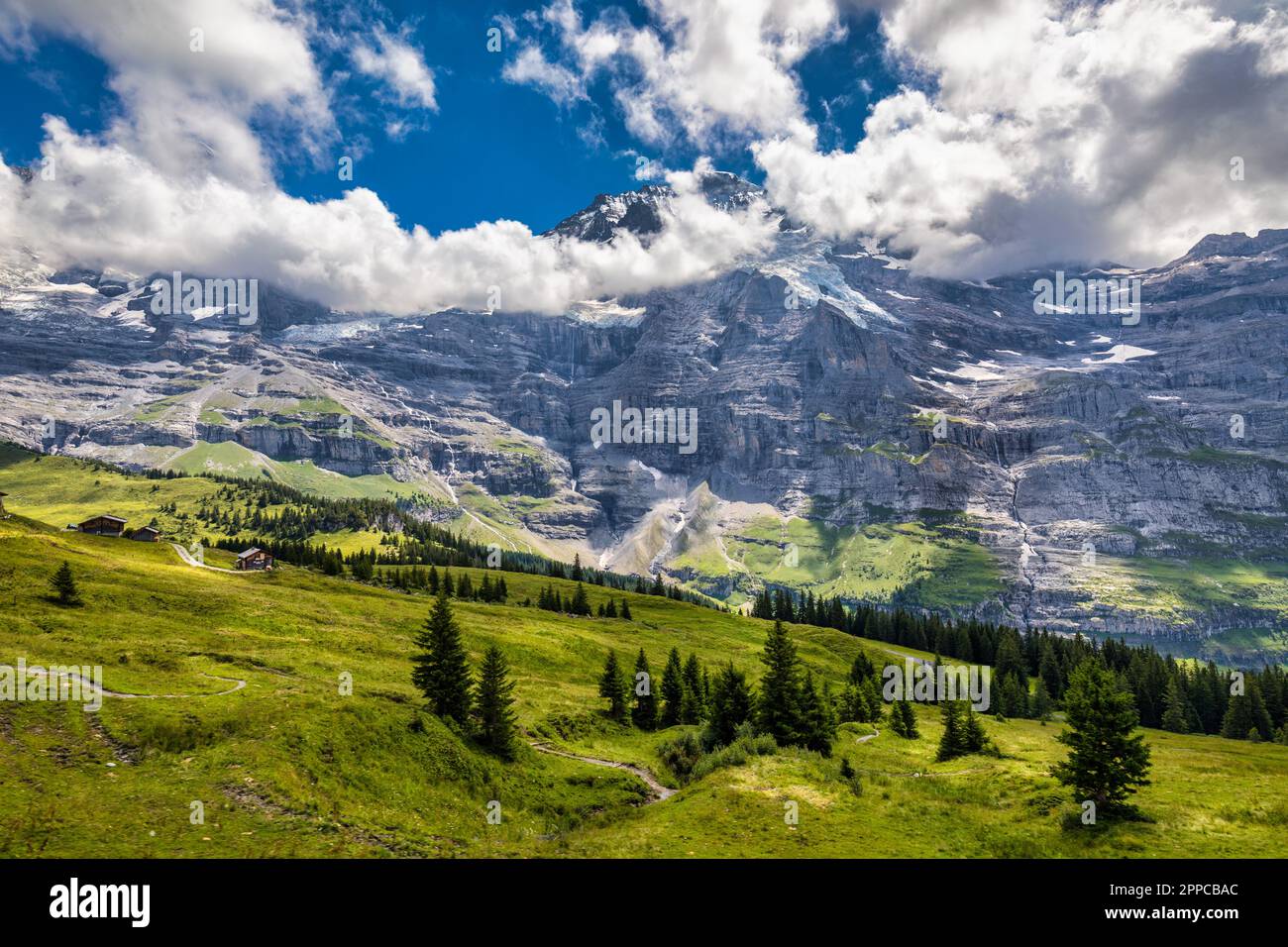 Panoramic view of idyllic mountain scenery in the Alps with fresh green ...