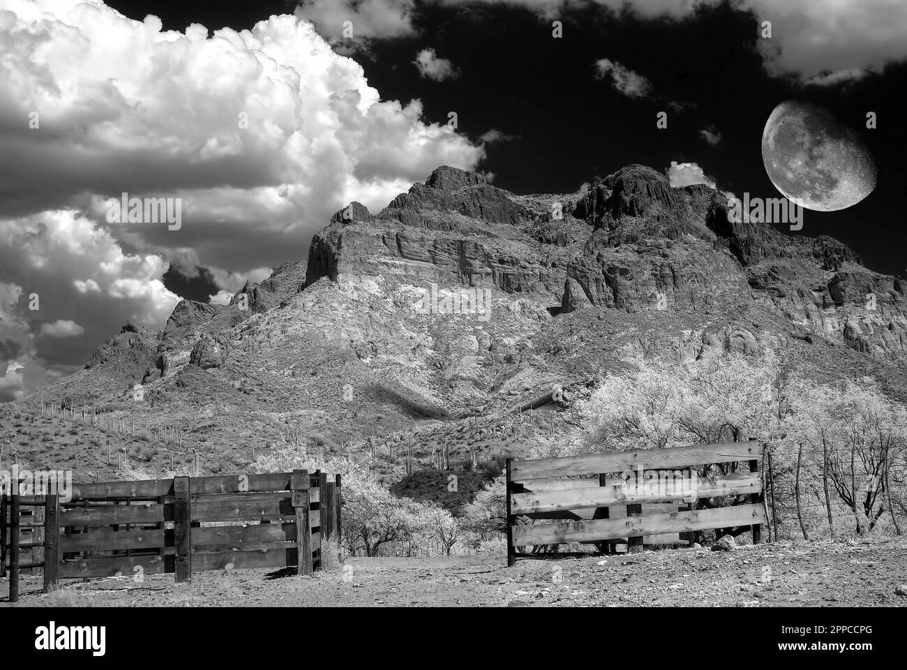 Moon and Spring landscape in the Arizona desert USA Stock Photo - Alamy