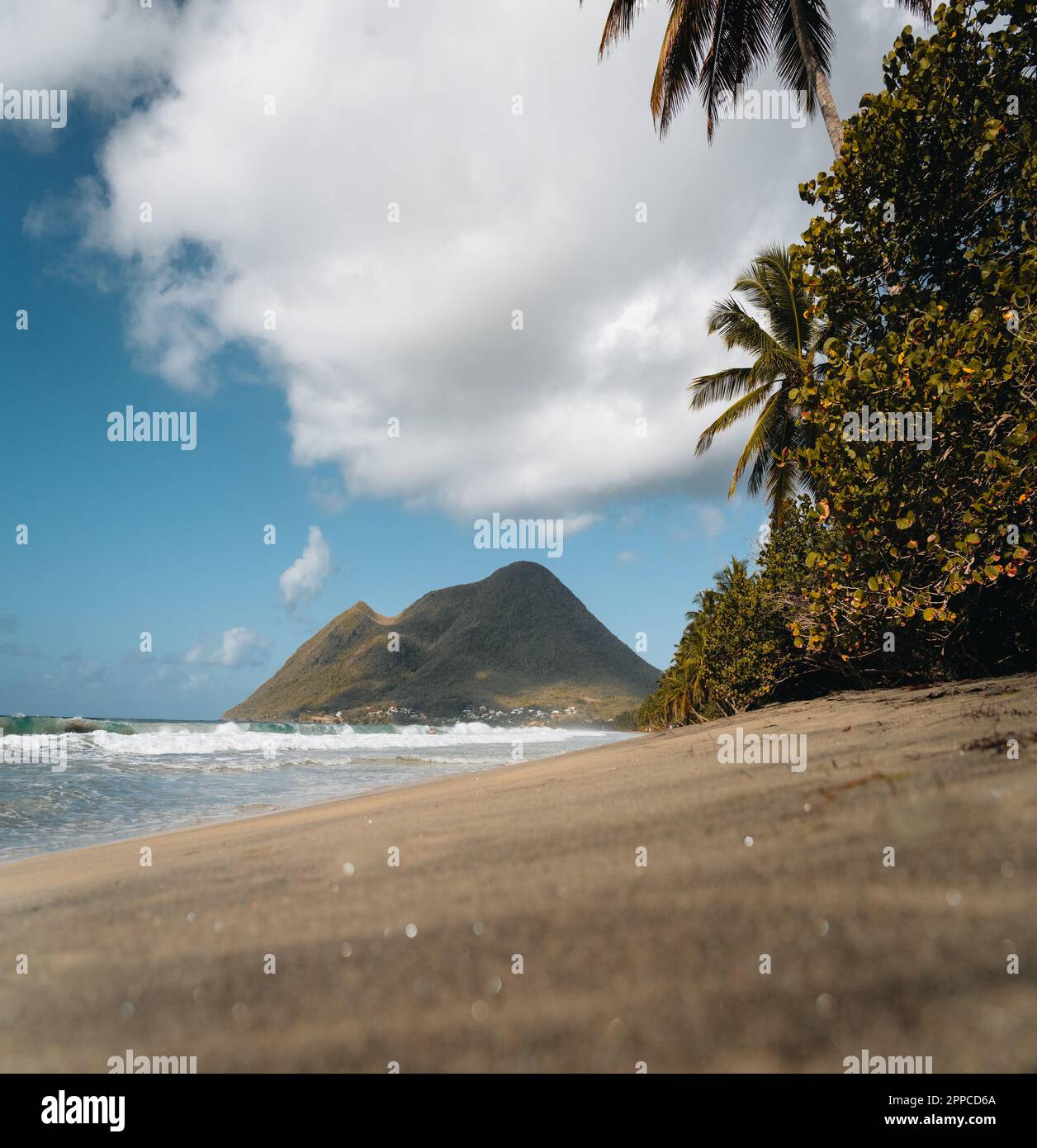 Caribbean Martinique Diamant beach with coconut palm and blue sky ...