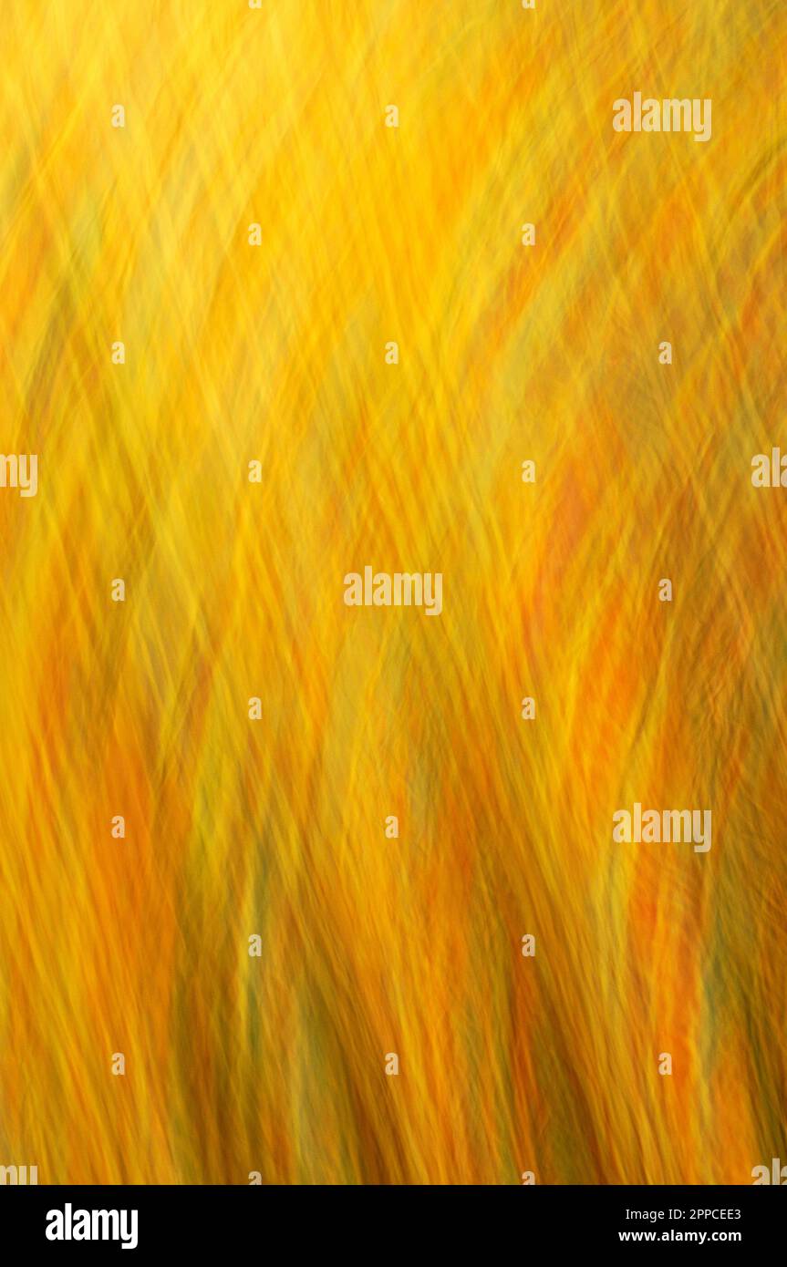 Motion-blurred bands of color Stock Photo - Alamy