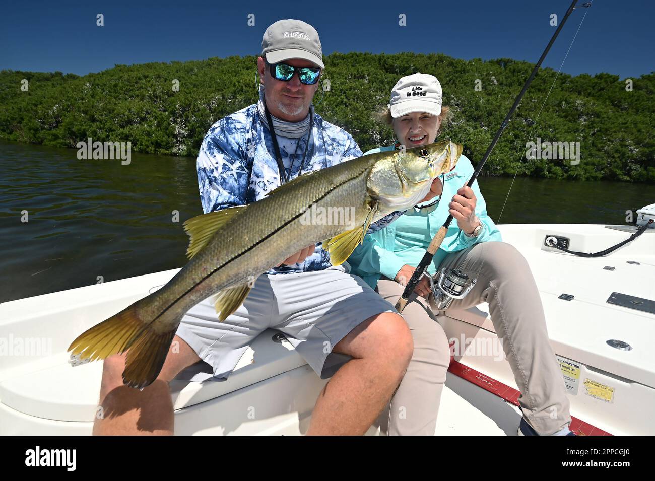 Pinfish hi-res stock photography and images - Alamy