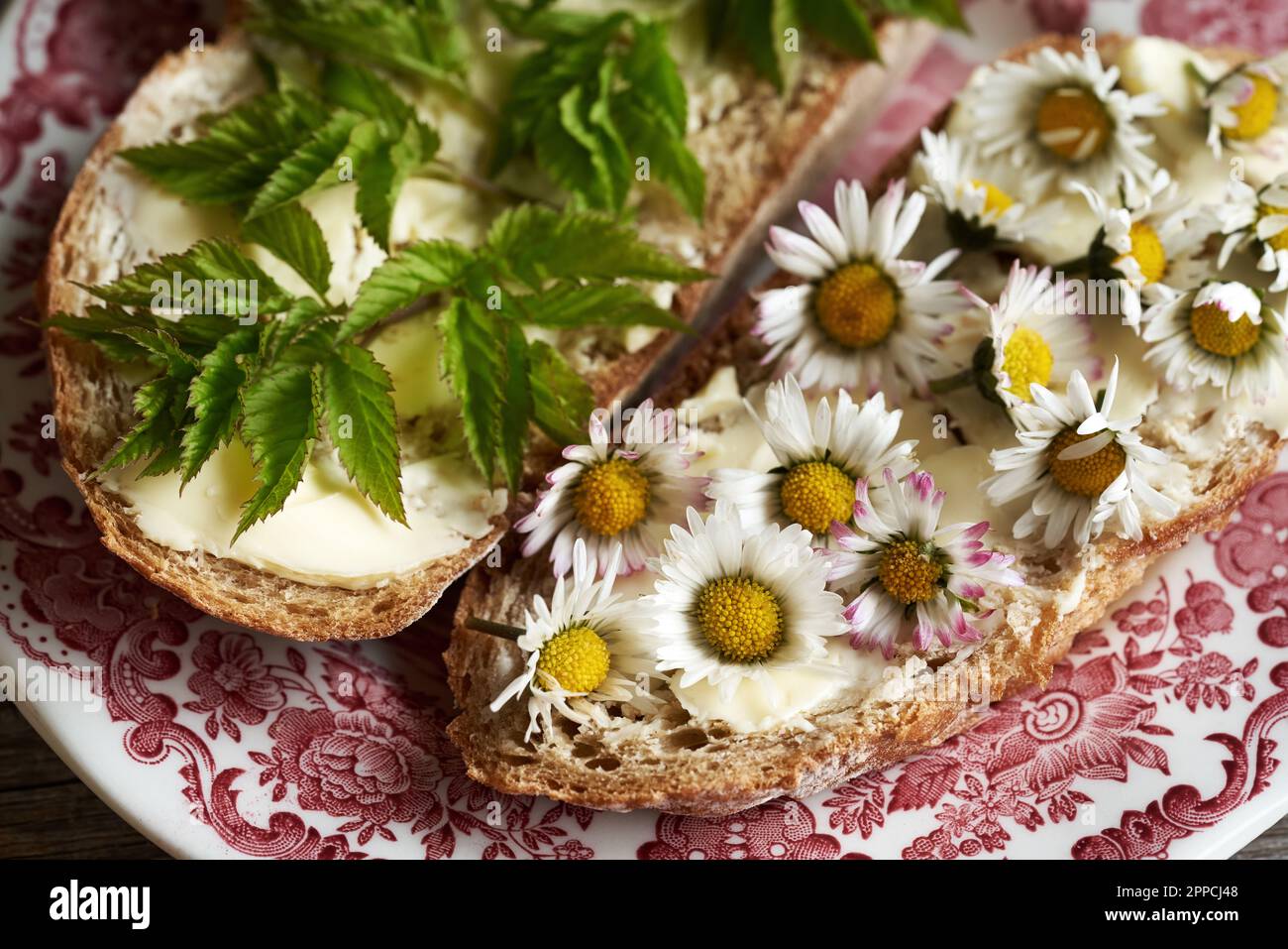 Lawn daisy and ground elder - fresh wild edible plants on slices of ...