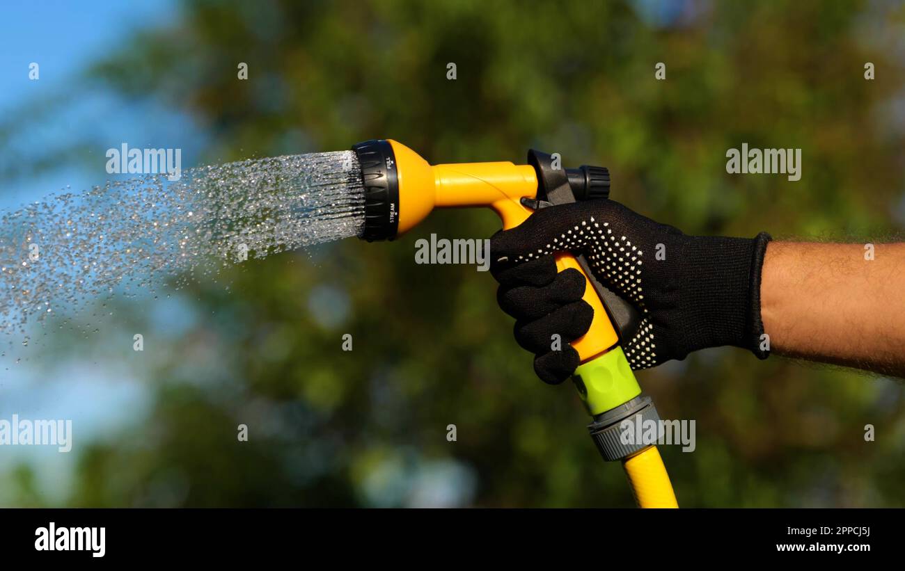 Male hand in glove holding and moving hose and watering plant in garden ...