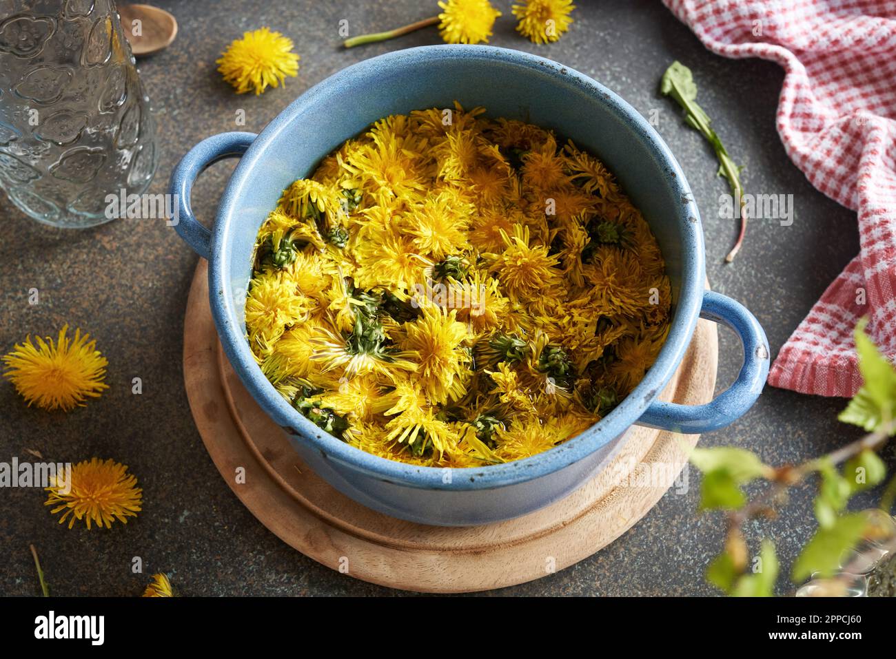 Fresh dandelion flowers macerating in water in a blue pot - preparation ...