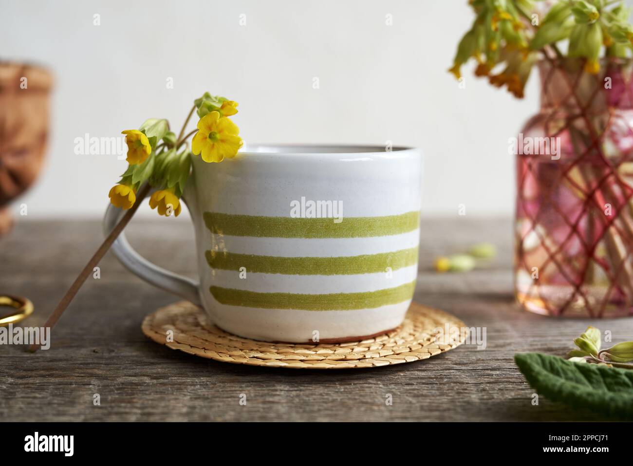 Cowslip primula tea fresh hi-res stock photography and images - Alamy