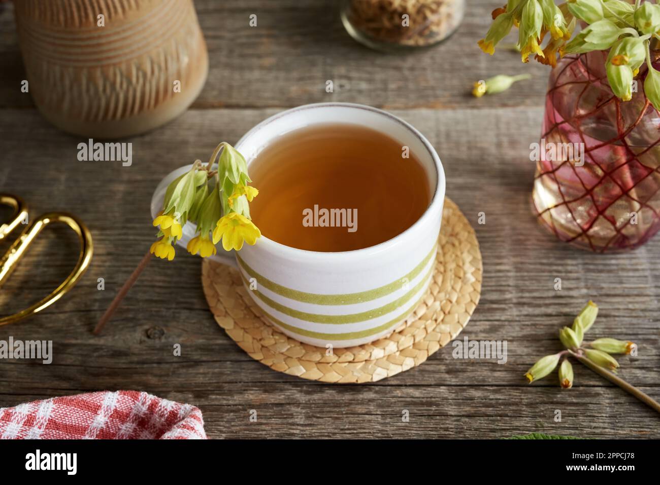 Herbal tea fresh cowslip hi-res stock photography and images - Alamy