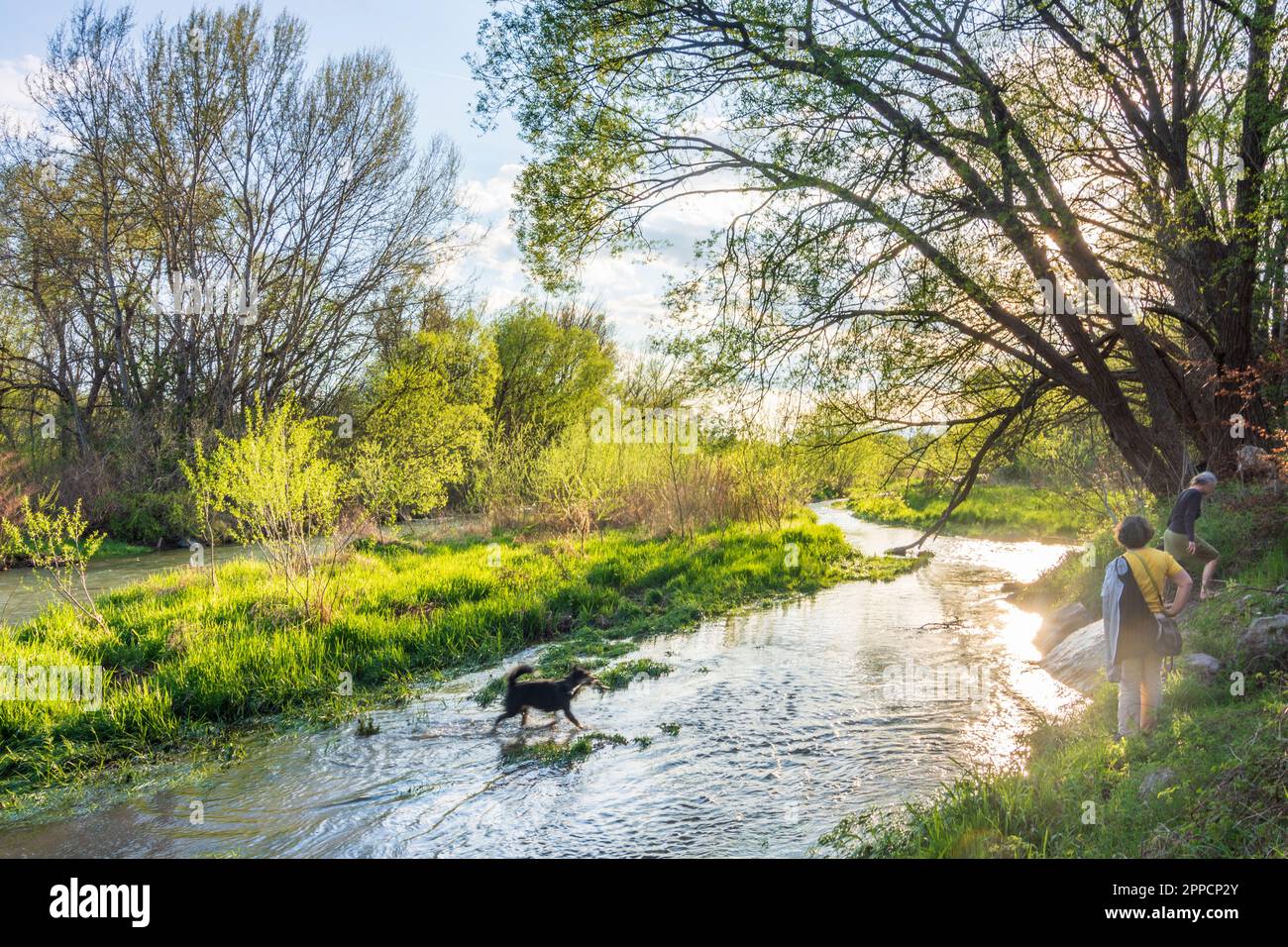 Lanzenkirchen: confluence of rivers Pitten and Schwarza to river Leitha ...