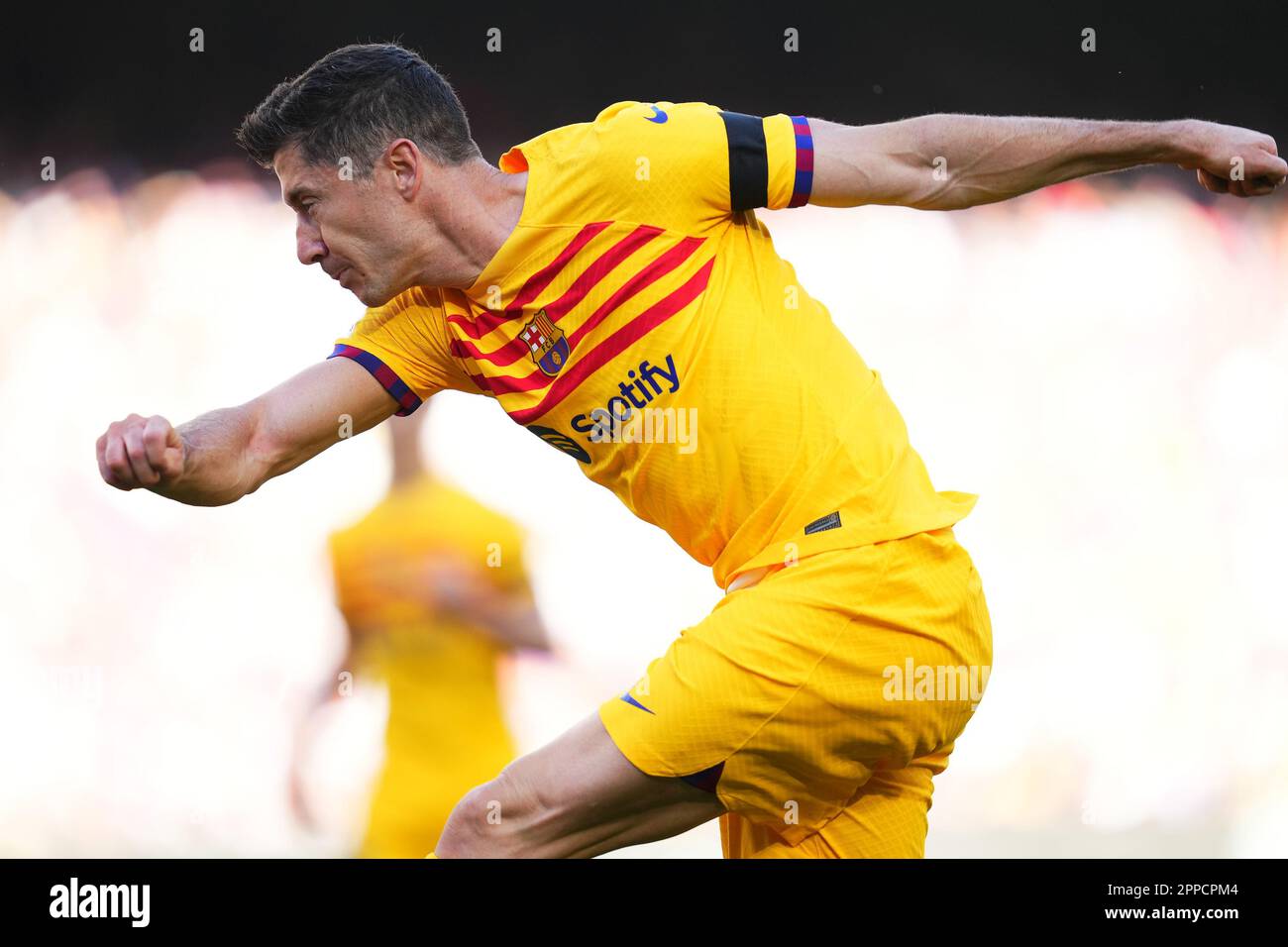 Robert Lewandowski of FC Barcelona during the La Liga match between FC ...