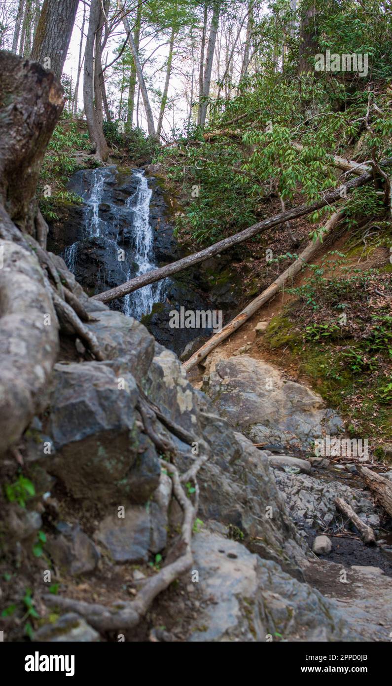 Early Spring landscapes and nature in the Great Smoky Mountain National ...