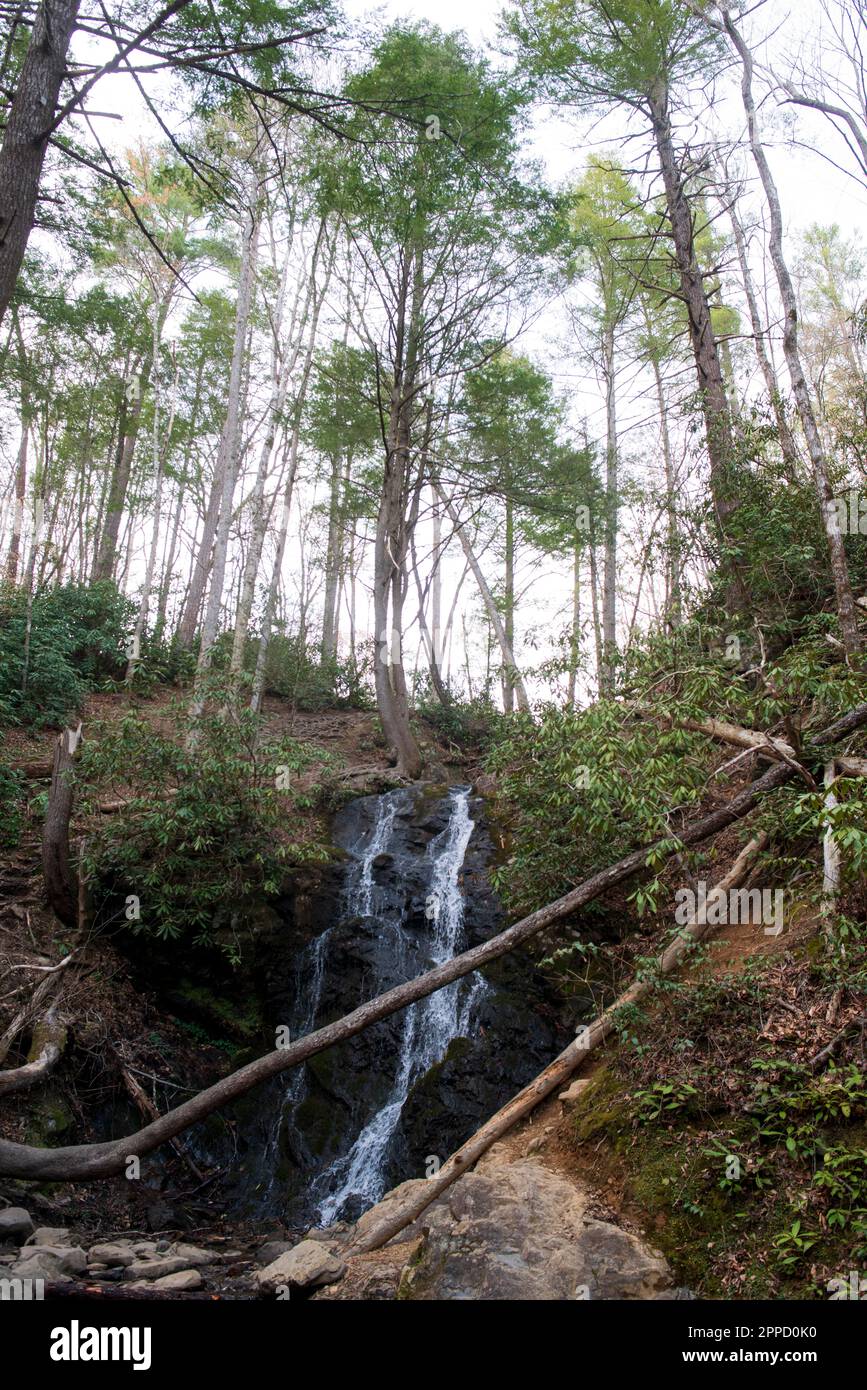 Early Spring landscapes and nature in the Great Smoky Mountain National ...