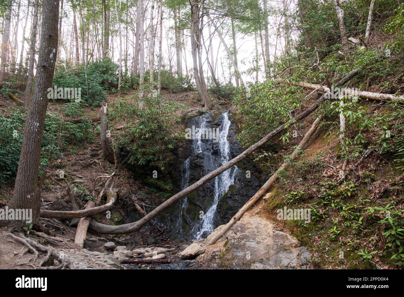 Early Spring landscapes and nature in the Great Smoky Mountain National ...