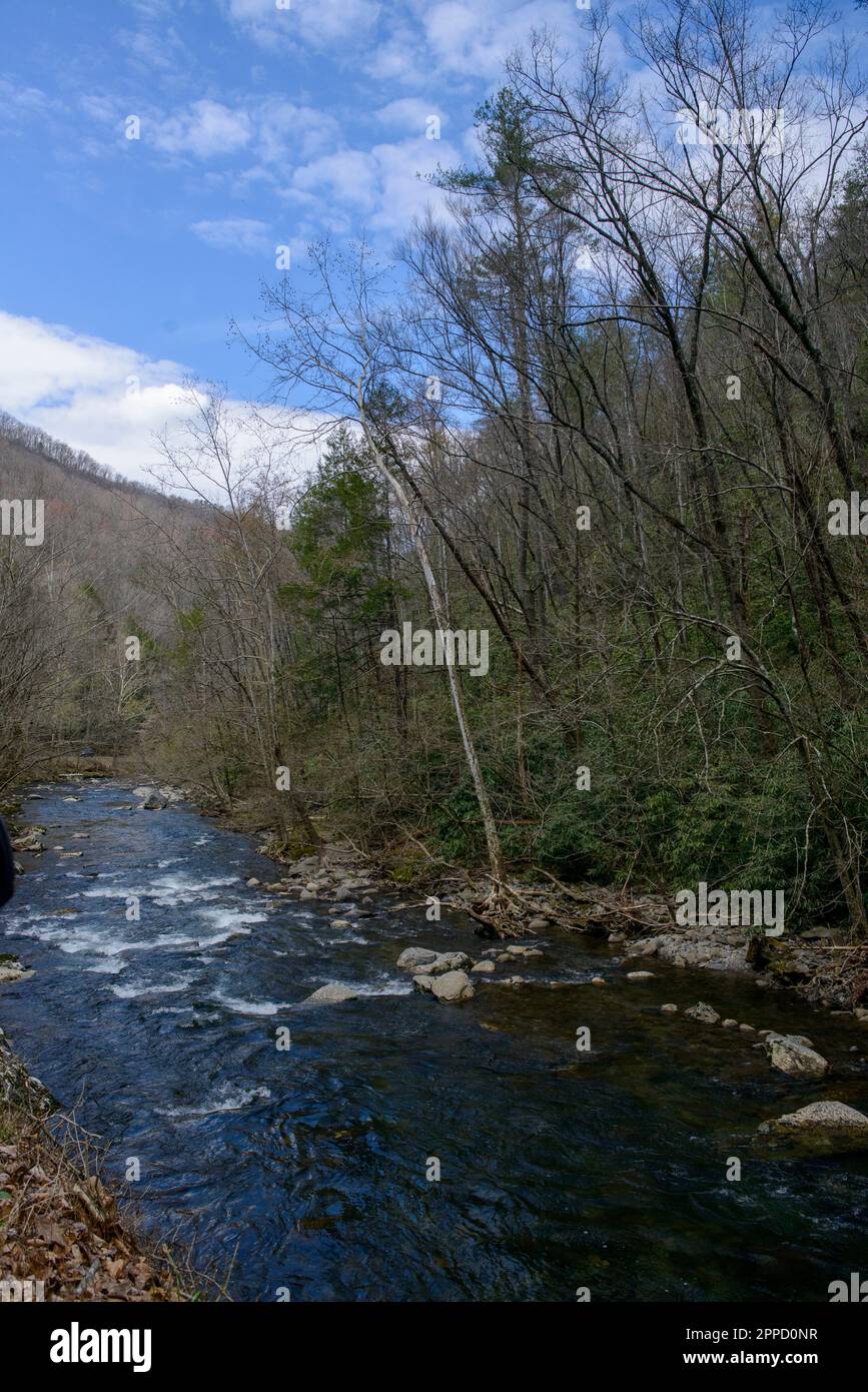Early Spring landscapes and nature in the Great Smoky Mountain National ...