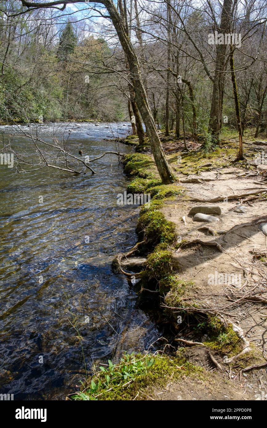 Early Spring landscapes and nature in the Great Smoky Mountain National ...