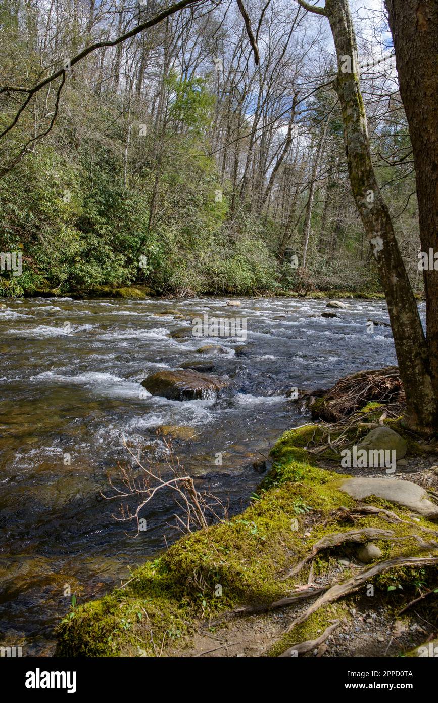 Early Spring landscapes and nature in the Great Smoky Mountain National ...