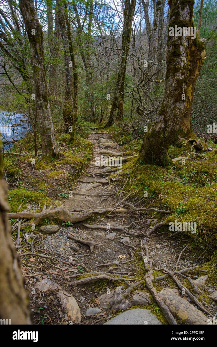 Early Spring landscapes and nature in the Great Smoky Mountain National ...