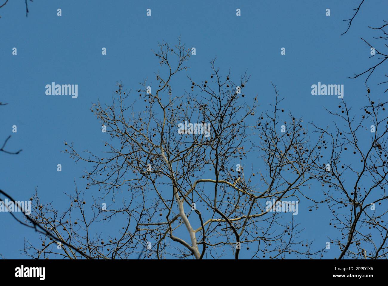 Early Spring landscapes and nature in the Great Smoky Mountain National ...