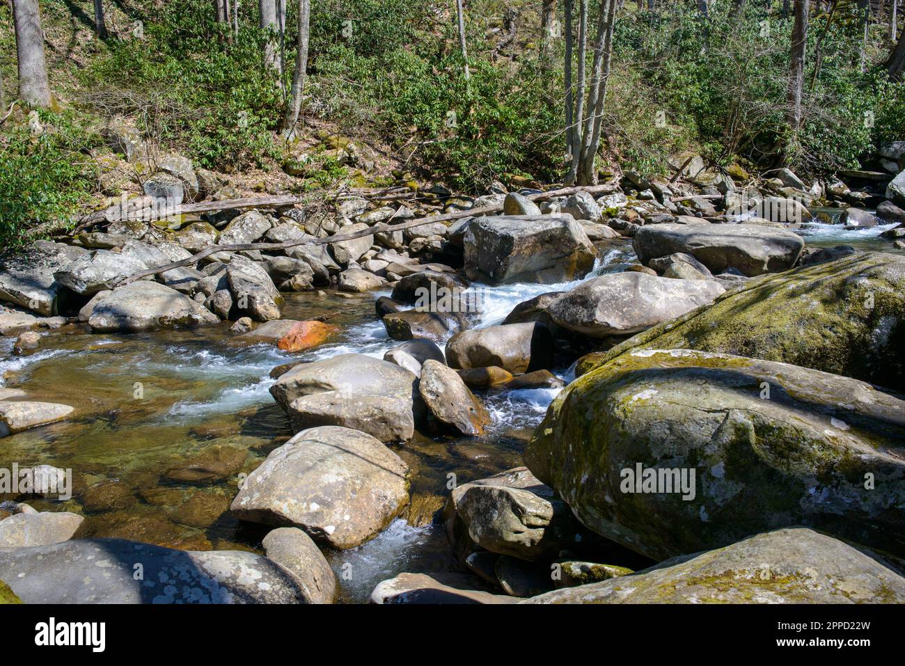 Early Spring landscapes and nature in the Great Smoky Mountain National ...