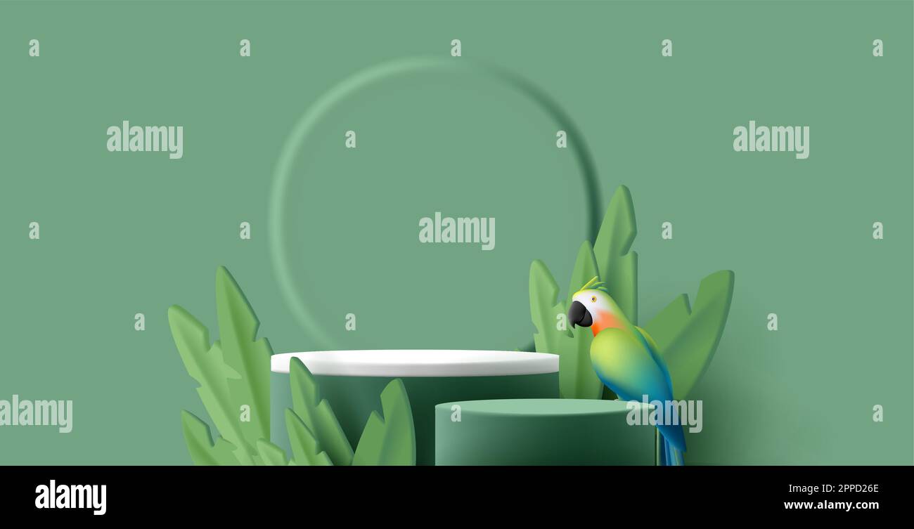 Cylinder podium in green colors with green tropical plant leaves and ...