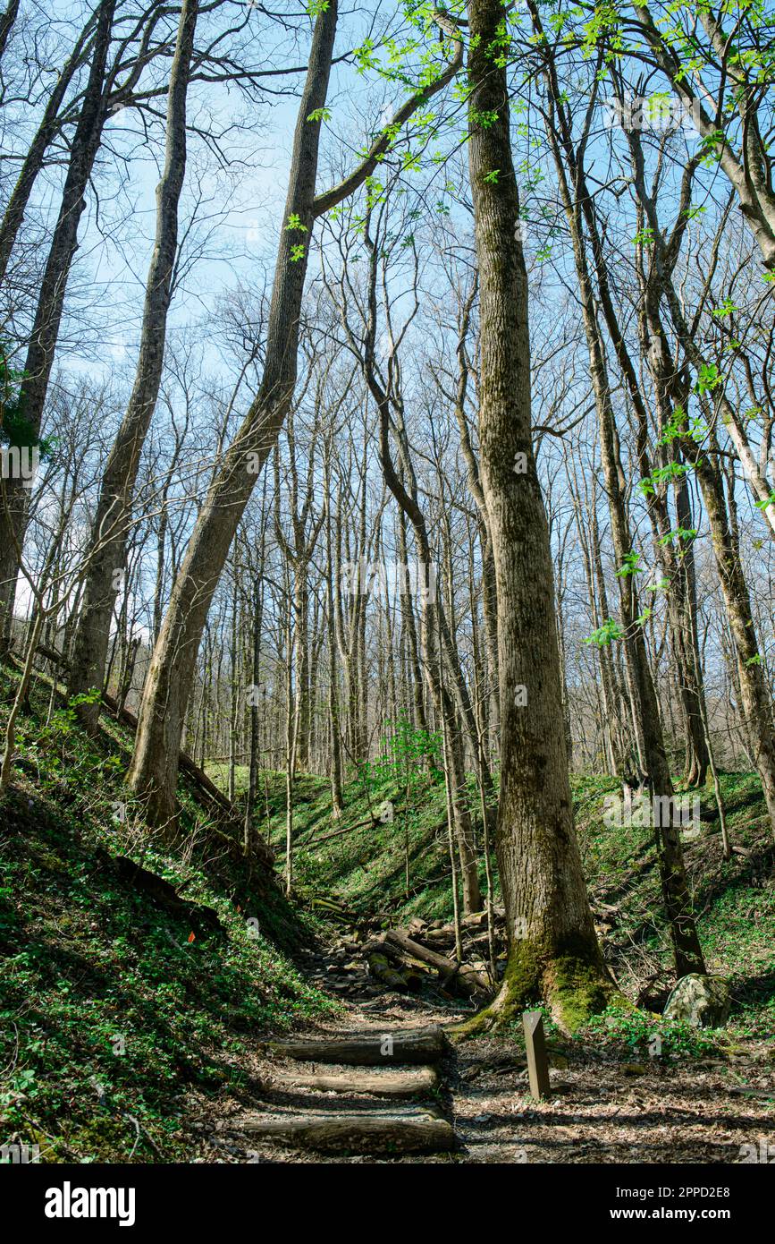 Early Spring landscapes and nature in the Great Smoky Mountain National ...