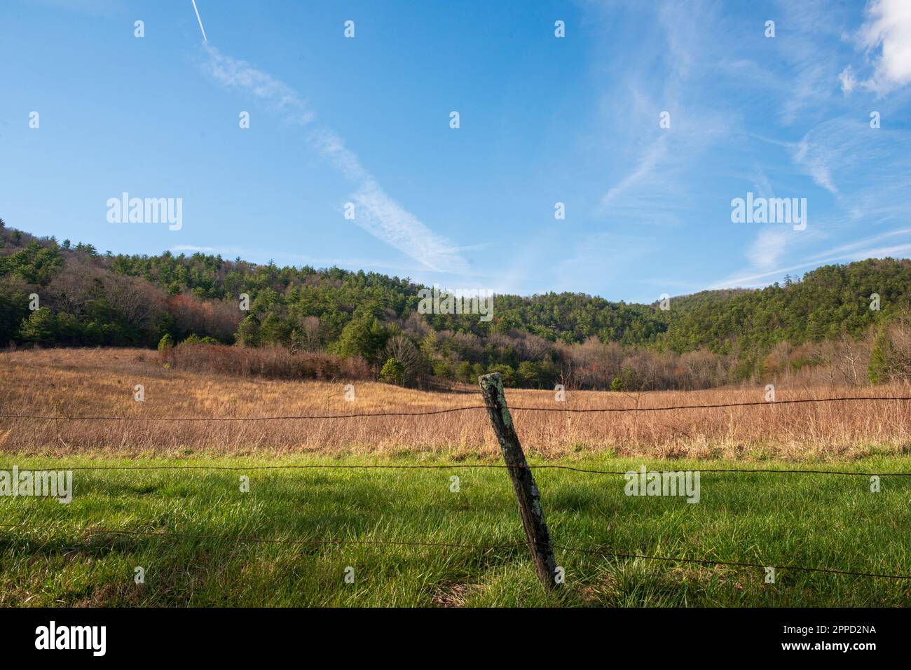Early Spring landscapes and nature in the Great Smoky Mountain National ...