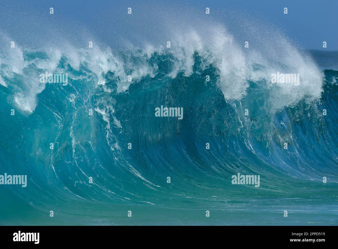 Breaking wave of Pacific Ocean Stock Photo - Alamy