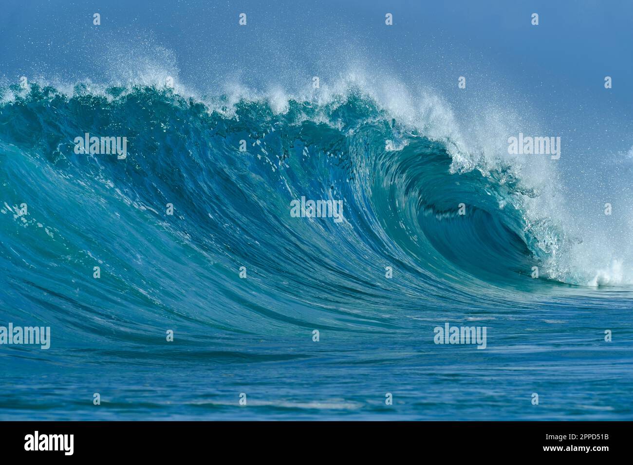 Breaking wave of Pacific Ocean Stock Photo - Alamy