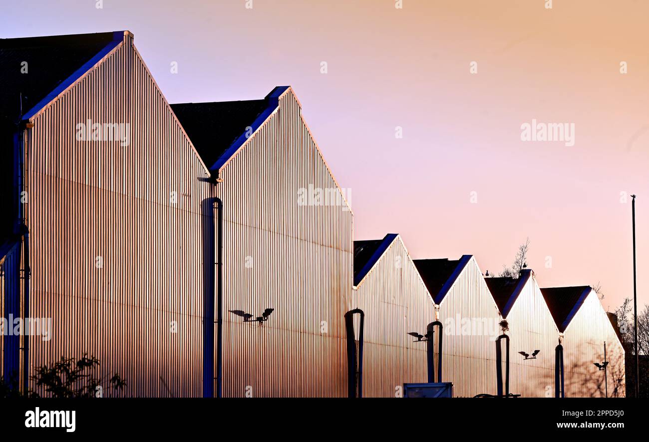 Corregated factory roofs in the evening sunshine Stock Photo - Alamy