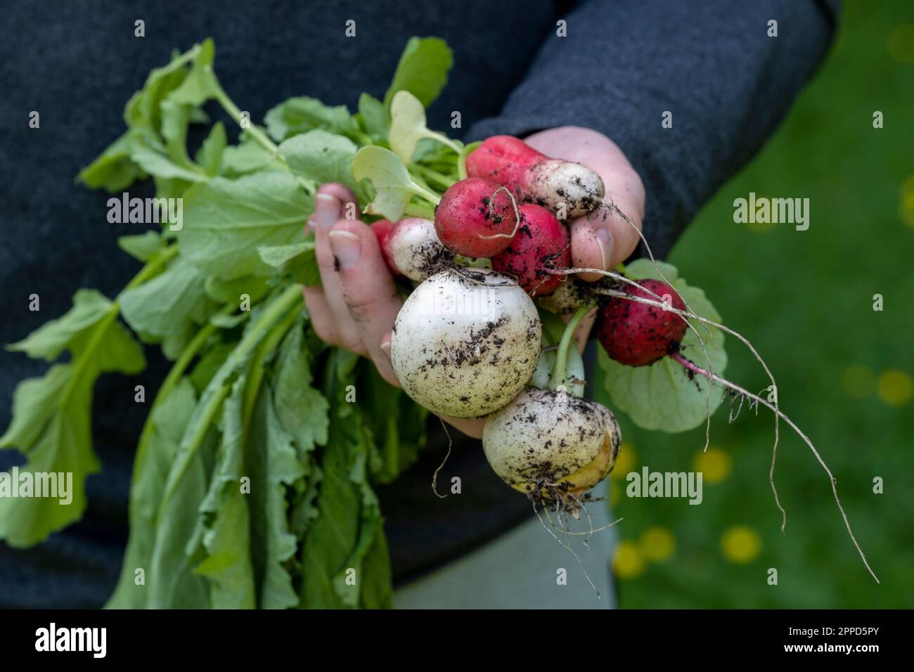 Young man on farm hi-res stock photography and images - Alamy