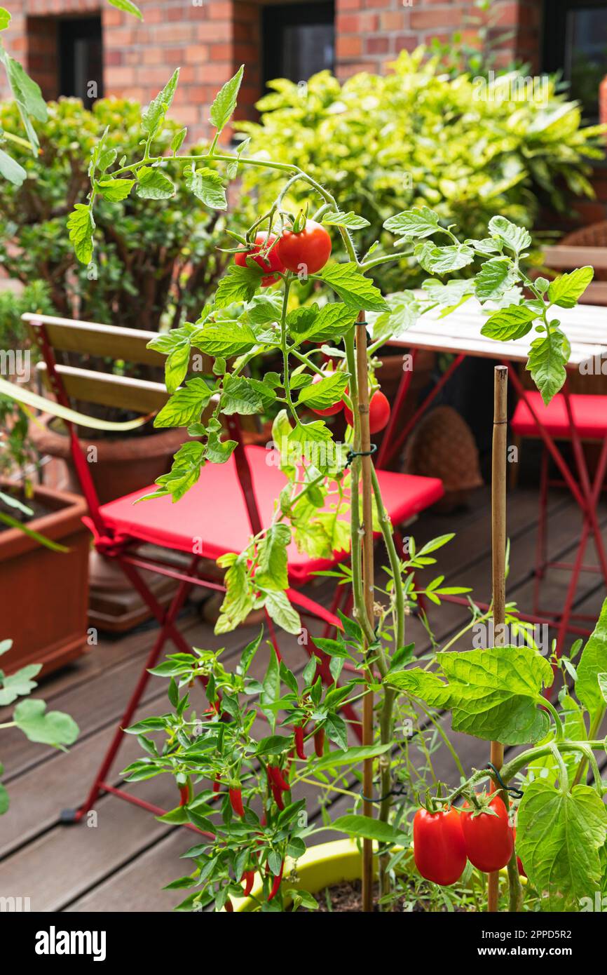 Vertical gardening balcony hi-res stock photography and images - Alamy