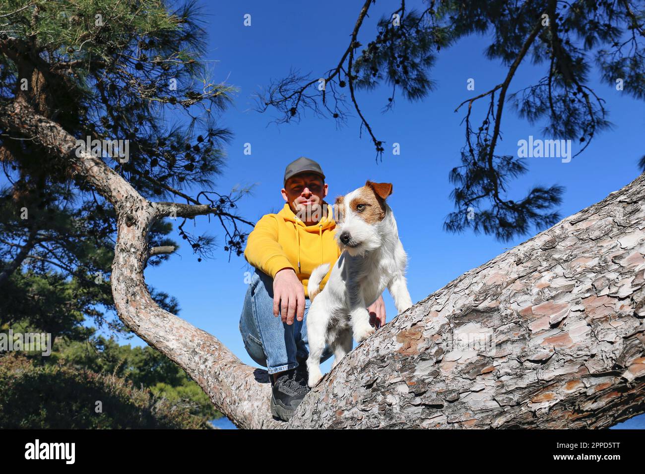 Man and dog by tree hi-res stock photography and images - Alamy