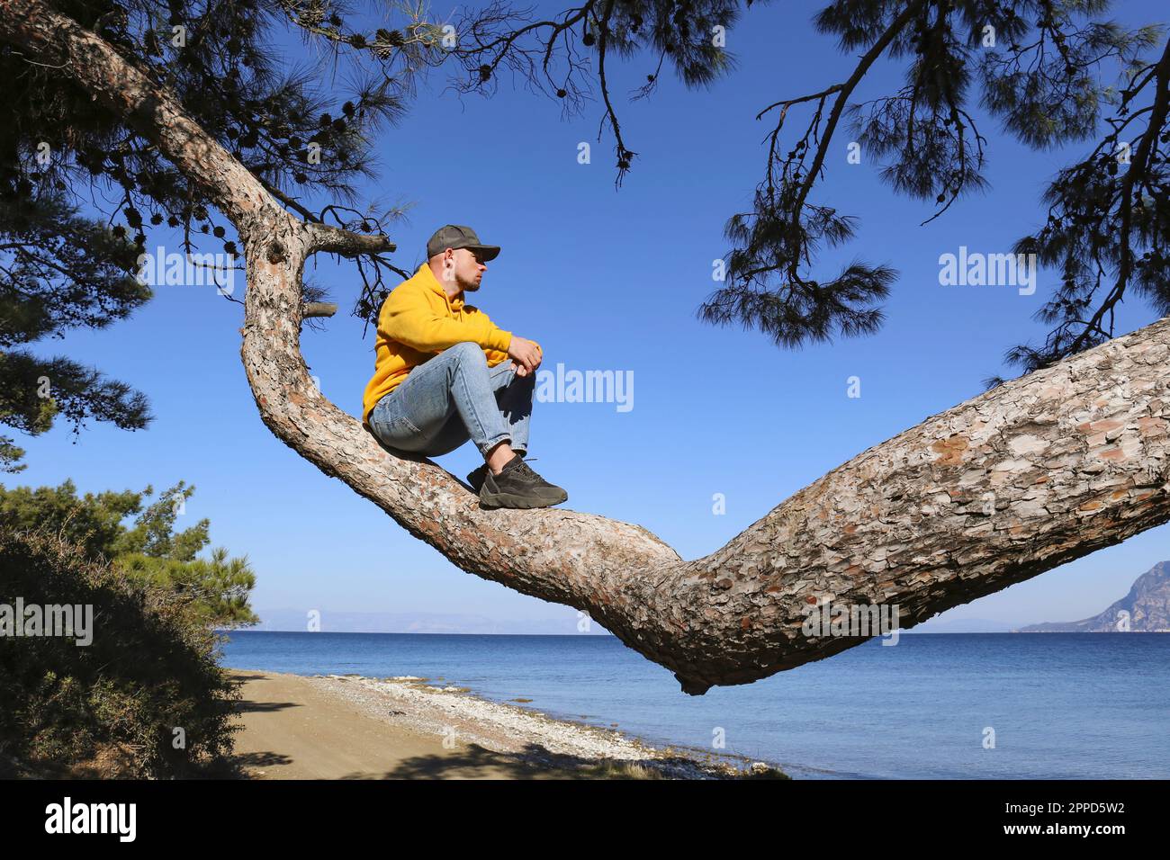 Man sitting on branch of tree looking at distance Stock Photo - Alamy